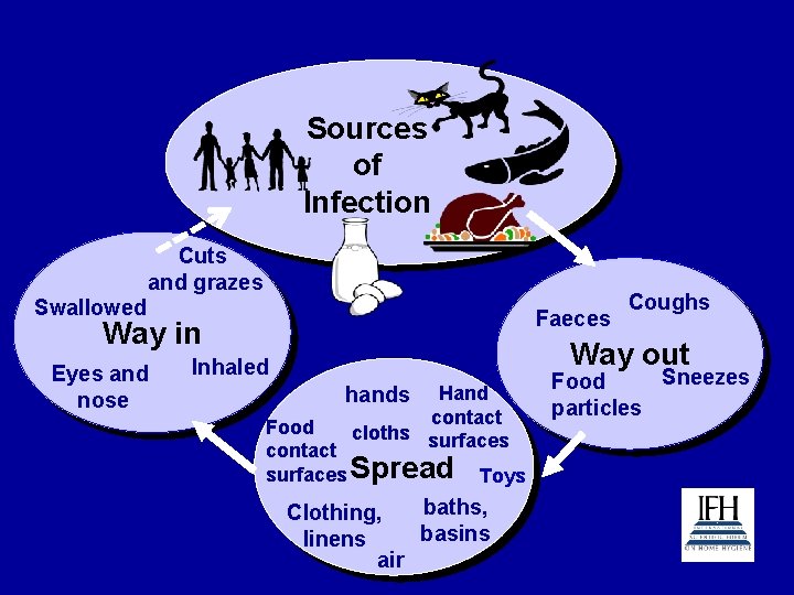 Developing a sustainable and effective approach to hygiene