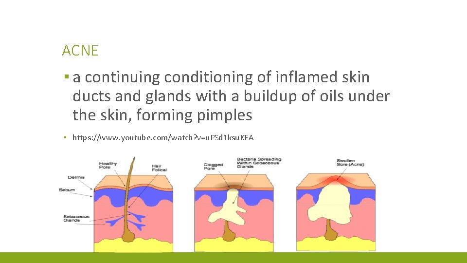 HEALTH UNIT PERSONAL HEALTH VOCABULARY 7 2 YOU