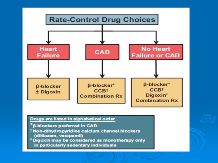 Atrial Fibrillation Update 2012 Dr C Seifer Section