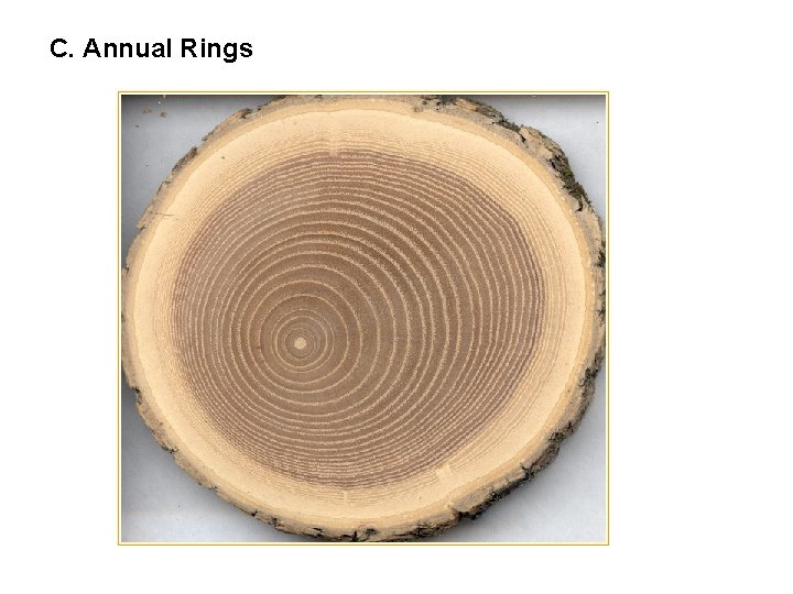 Topic 03 Secondary Body Chap 26 and the