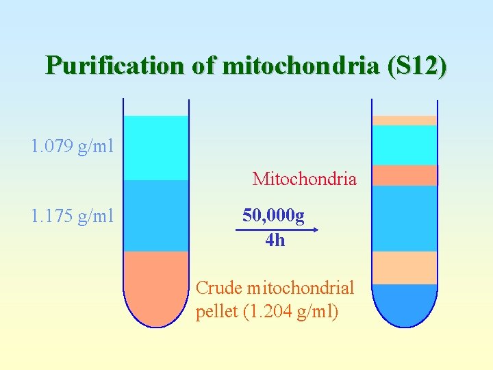Fractionation of organelles and membrane vesicles using Opti