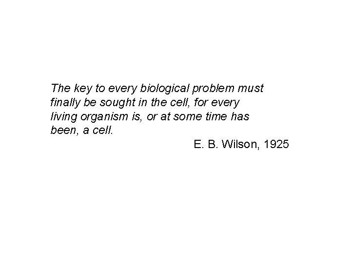 The key to every biological problem must finally