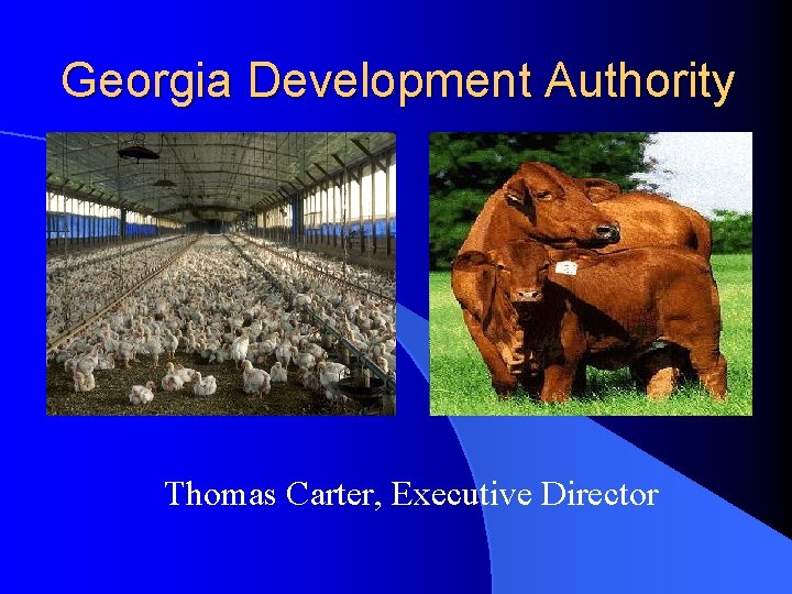 Georgia Development Authority Thomas Carter Executive Director GDA
