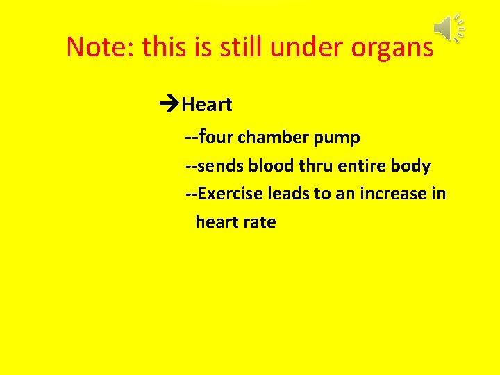 TBody Systems ACirculatory Respiratory and Lymphatic Notes Lnone