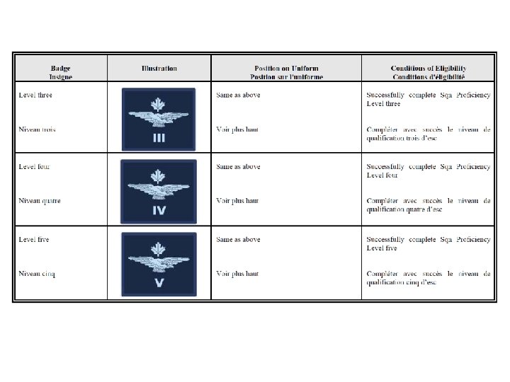 Updates to the Air Cadet Badge System Badge