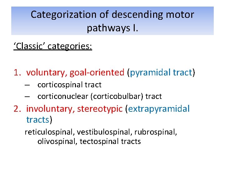 Motor systems I Pyramidal tract Dr gota dm