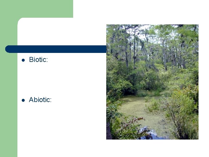 Ecosystems and Community Chapter 4 Unit 2 Biotic