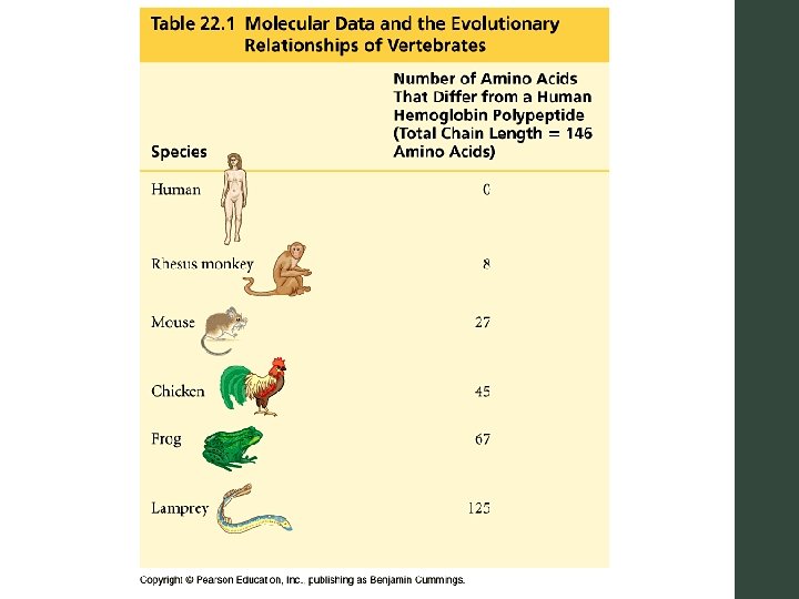 Evolution Foundation of modern biology How is life