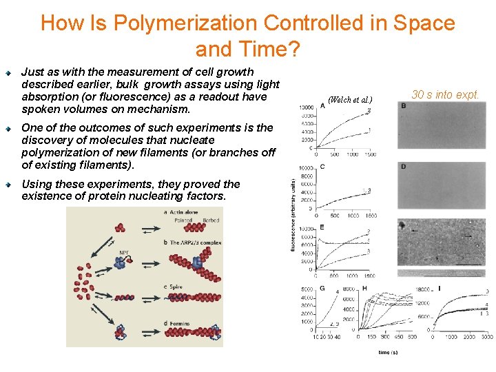 BEAPh 161 Physical Biology of the Cell Rob
