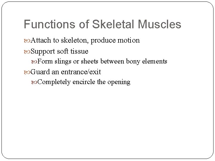 Chapter 11 The Muscular System BIO 210 Lab