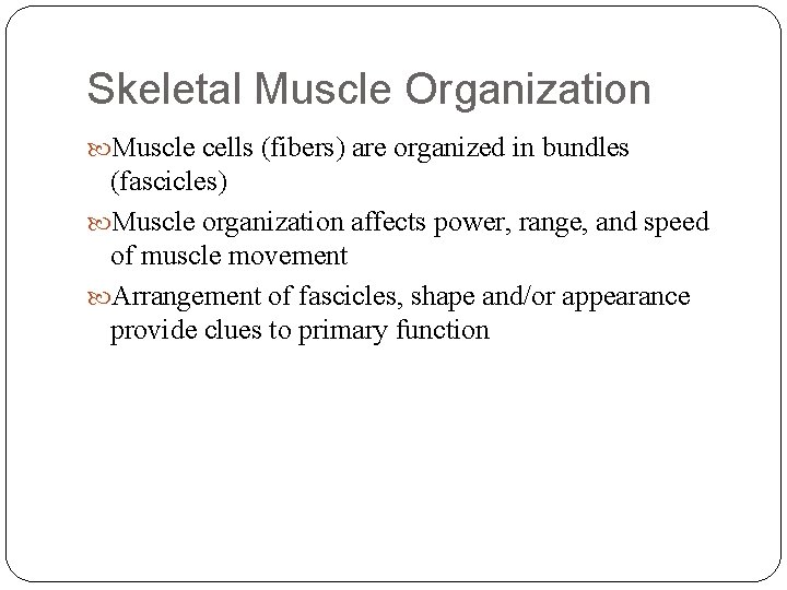 Chapter 11 The Muscular System BIO 210 Lab