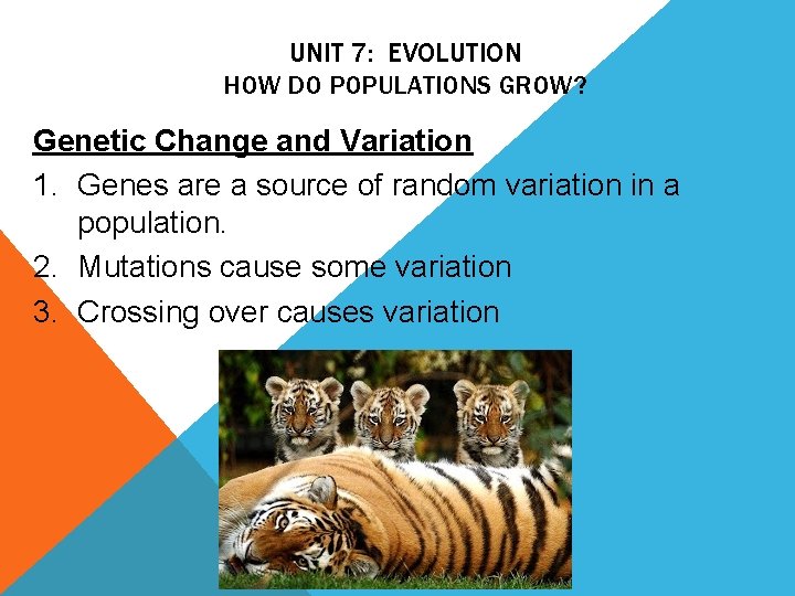 UNIT 7 EVOLUTION HOW DO POPULATIONS GROW Genetic