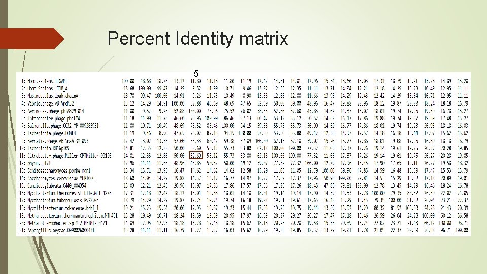 Phylogenetic Analysis of Von Willebrand Factor Proteins Across