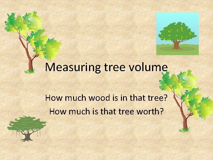 Measuring tree volume How much wood is in