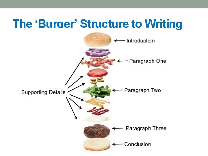 MODEL INFORMAL LETTER Planning The Burger Structure to