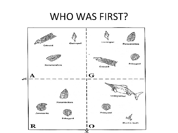 FOSSILS WHAT IS A FOSSIL Brainstorm The characteristics