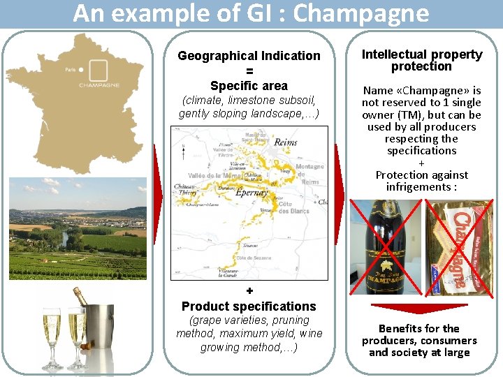 Investing in Sustainable Agriculture in Myanmar What potential