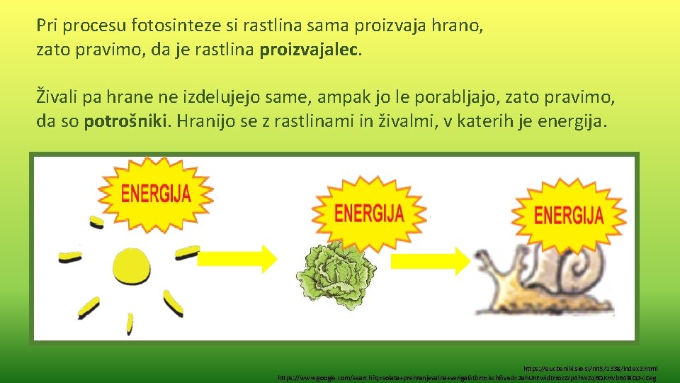KAJ JE KOMU HRANA PREHRANJEVALNE VERIGE bukev gosenica