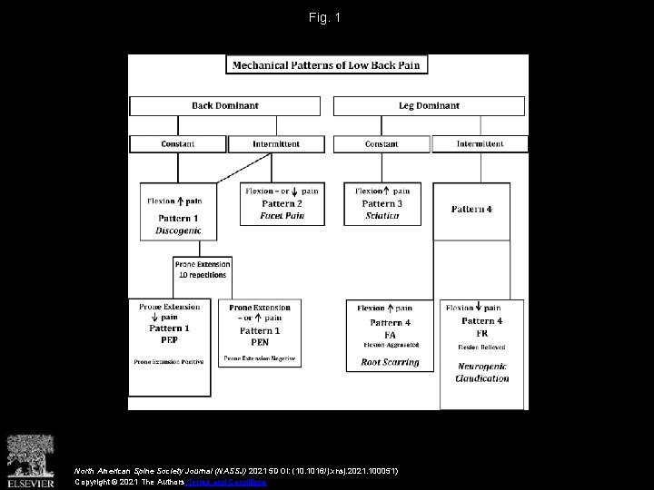 A successful costeffective low back pain triage system