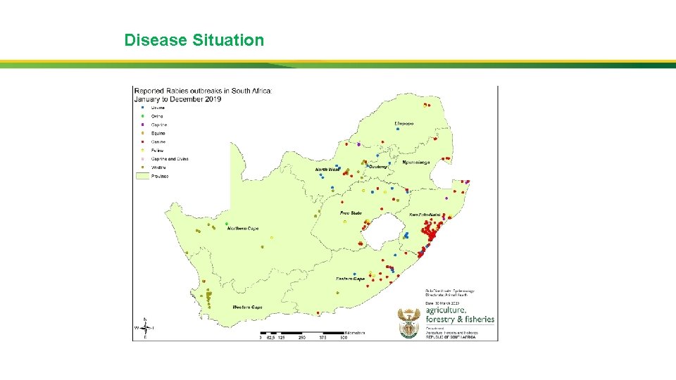 Status of Rabies and Control Strategies in South