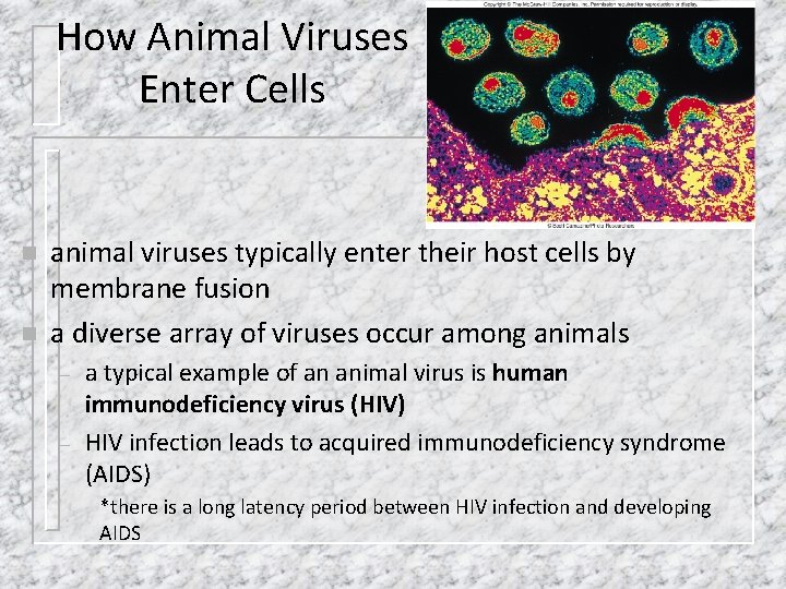 Microbial Genetics Bacteria Viruses Fig 19 1 Are