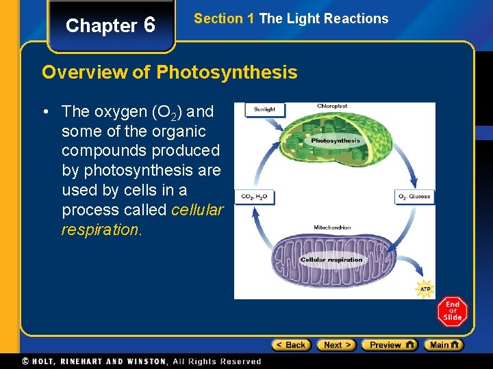 Chapter 6 Photosynthesis Table of Contents Section 1
