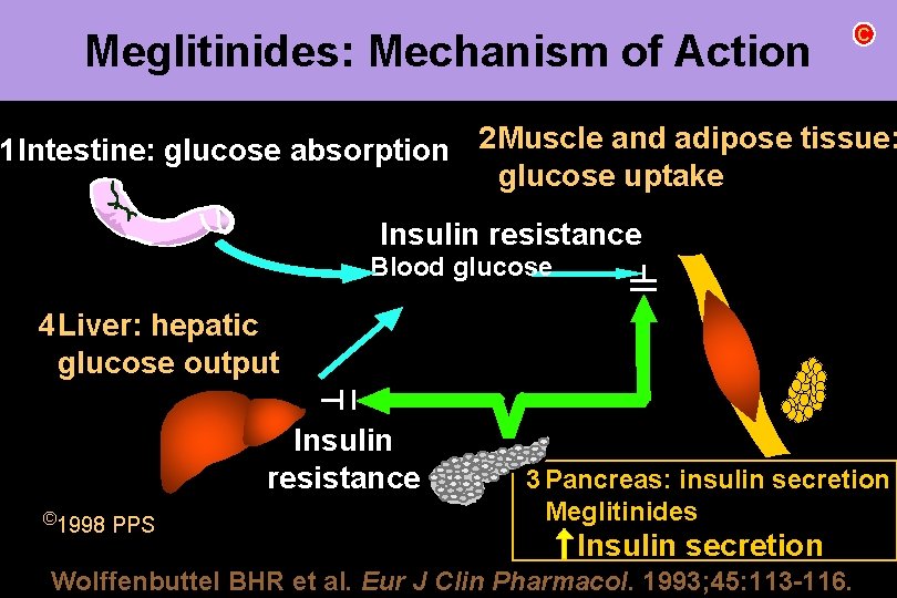 Diabetes and Obesity and Aging 20 of men