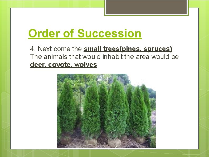 Unit Ecology How does succession lead to changes