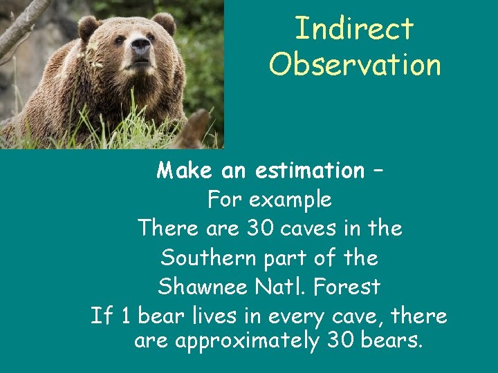 Studying Populations Chapter 1 Lesson 2 Direct Observation