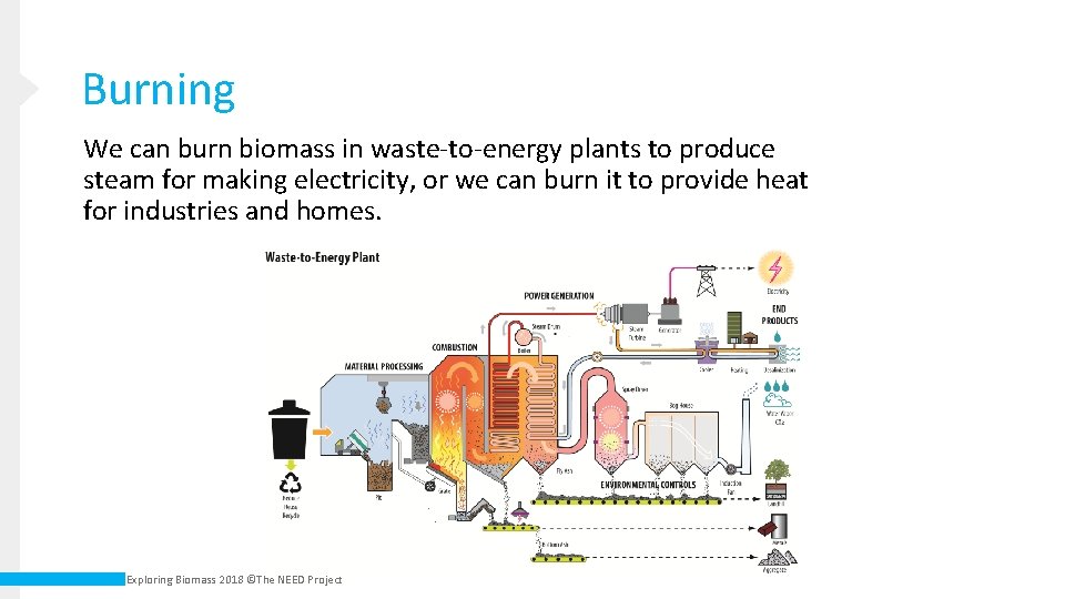 Exploring Biomass Garbage wood landfill gasits all biomass