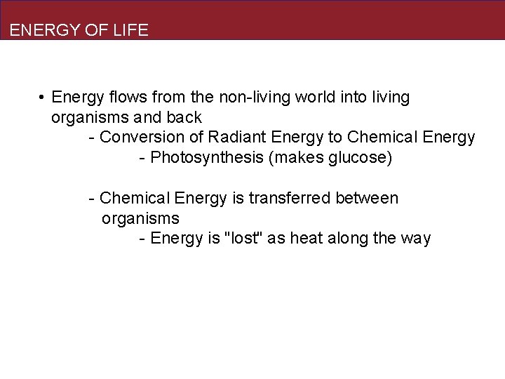 6 Energy Enzymes and Metabolism 6 1 What