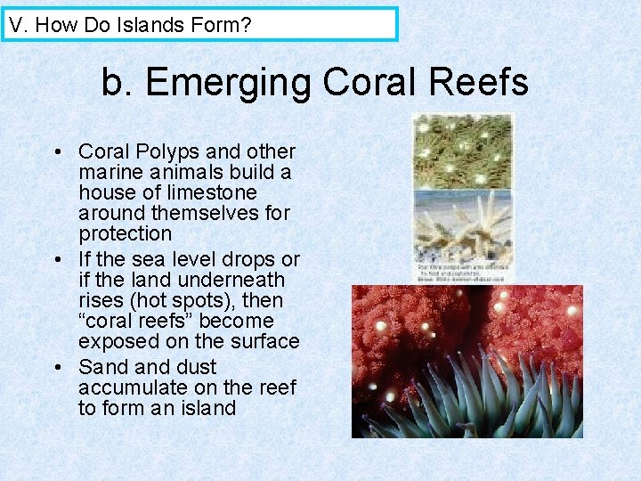 Islands Introduction Islands are unique because they are