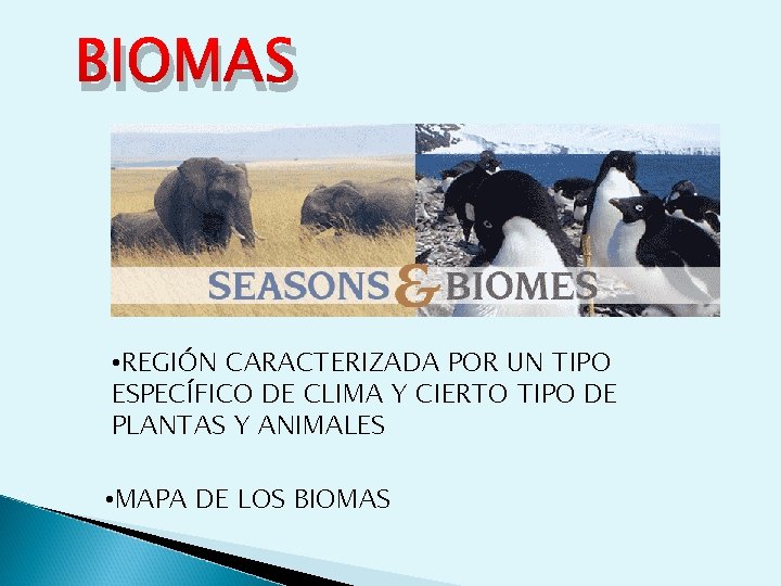 BIOMAS REGIN CARACTERIZADA POR UN TIPO ESPECFICO DE