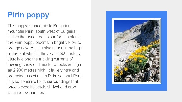 Project We care about our planet 2018 1