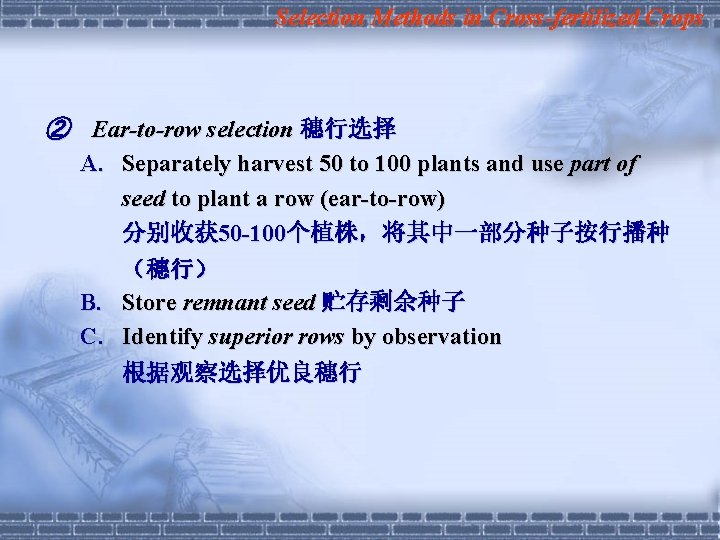 Plant Breeding Chapter 13 Selection Methods in Crossfertilized