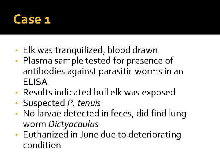 Kristen Baumann Christie Kranz Luiza Assis FreeRanging Bull