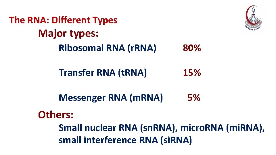 RNAs Structures and Functions By Amr S Moustafa