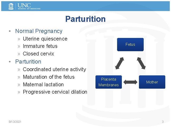 The physiology of birth puerperium and lactation Objectives