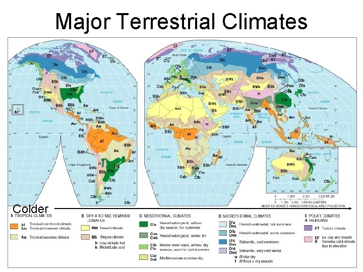 Trends in Ecosystems based on Temperature and Precipitation