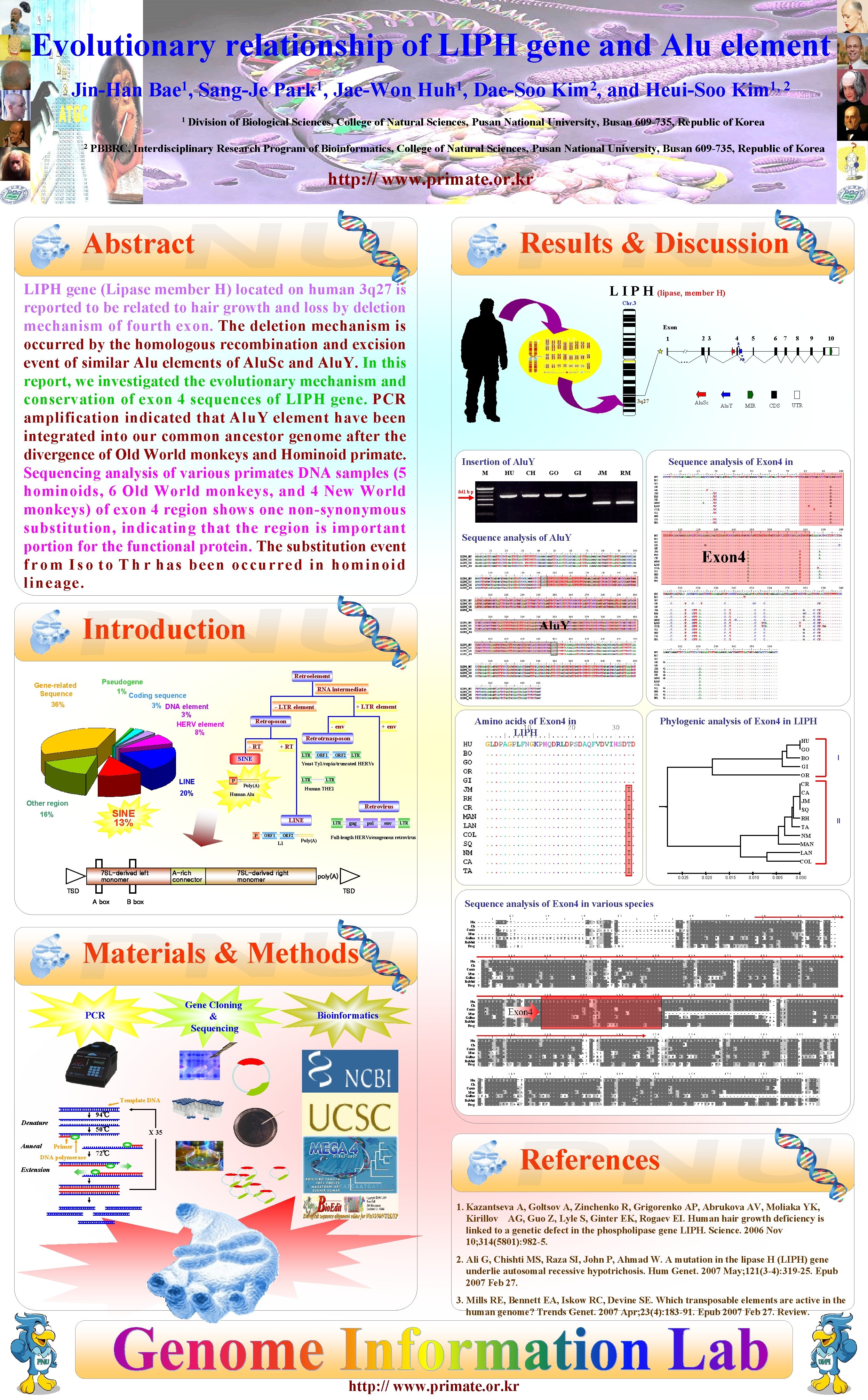Evolutionary relationship of LIPH gene and Alu element