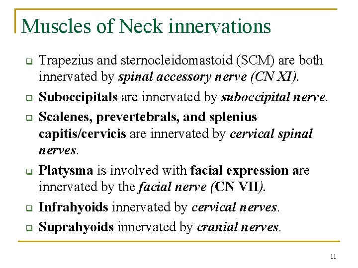 Head neck Shoulder Back Muscles Dr Nabil khouri