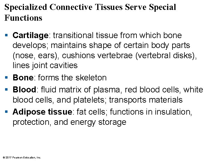 2017 Pearson Education Inc Tissues Groups of Cells