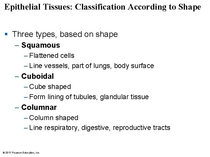 2017 Pearson Education Inc Tissues Groups of Cells