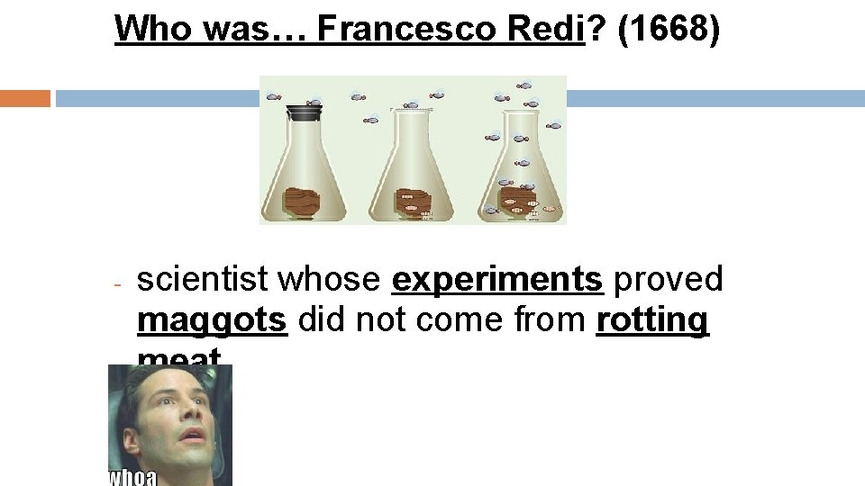 Warm Up Grab Guided Notes Warm Up In