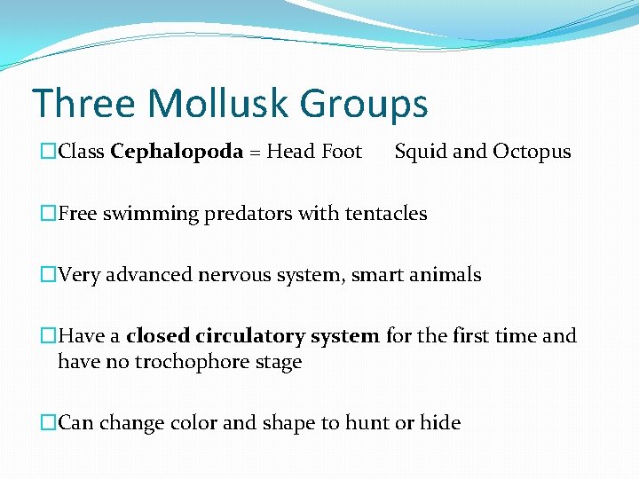 Ch 35 Molluska and Annelids 35 1 Mollusks