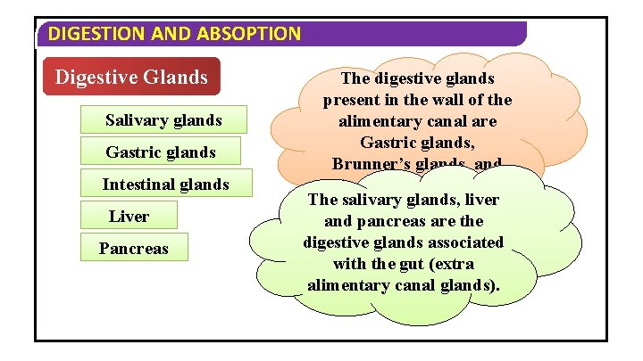 DIGESTION AND ABSOPTION UNITI A DIGESTION AND ABSORPTION