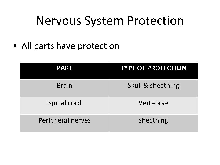 The Nervous System The Basic Structure 6 1