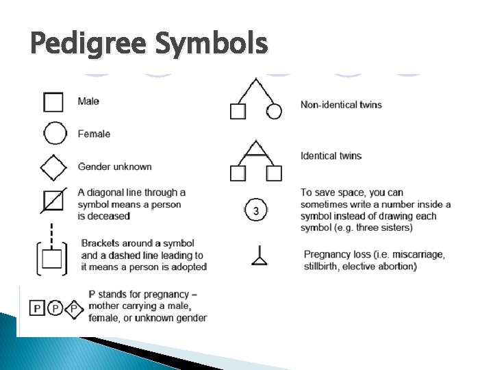 Your Family History A Way to Showcase You