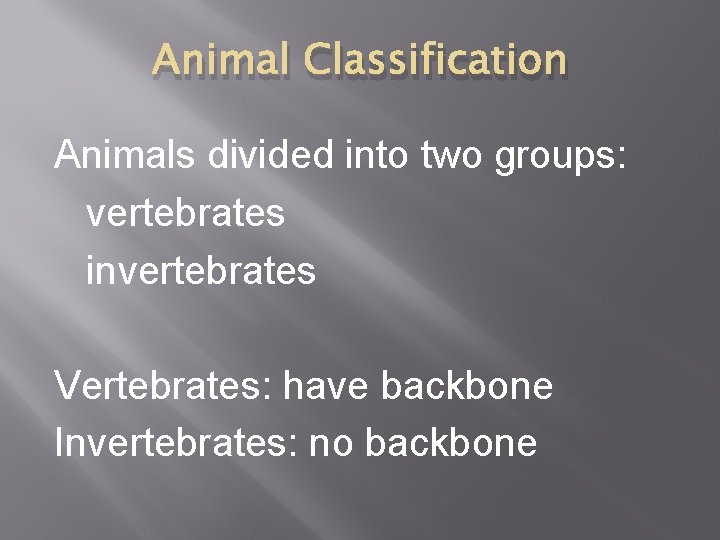 INVERTEBRATE ANIMALS Chapter 6 Section 1 What is