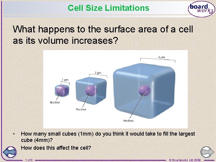 Cell Size Limitations What happens to the surface